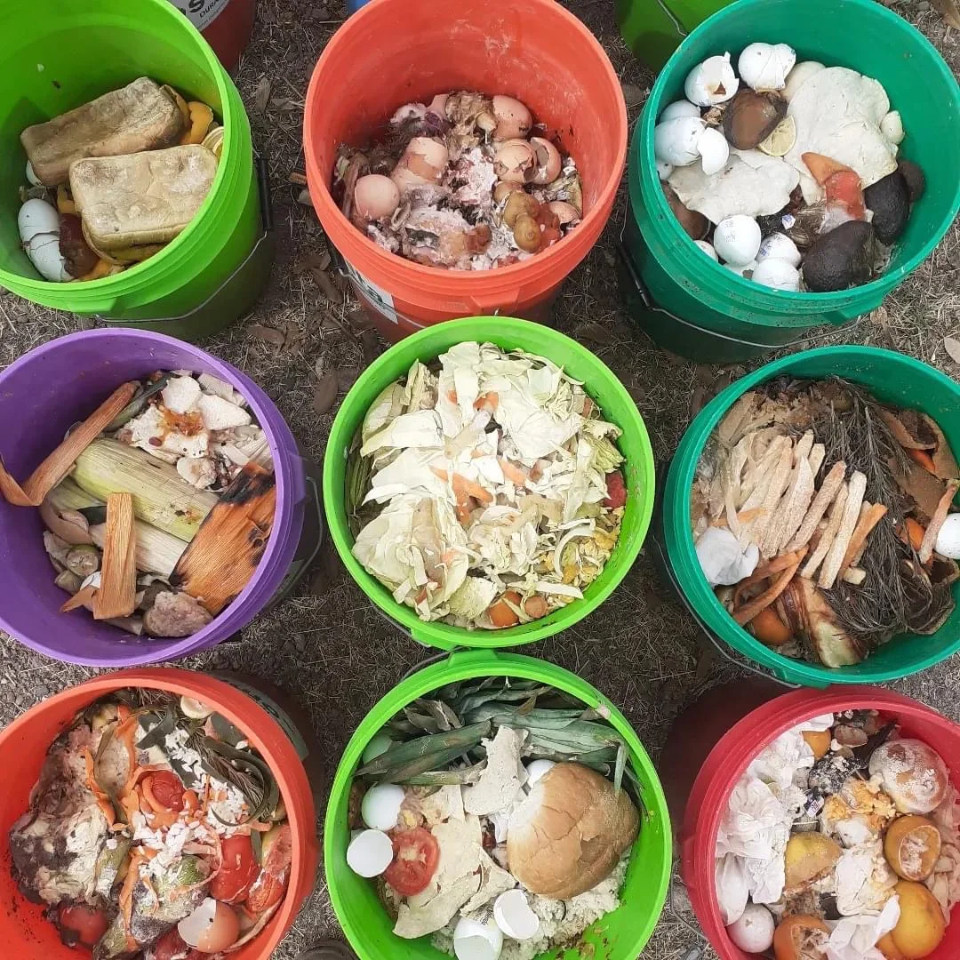 Composta con residuos orgánicos - Hagamos Composta